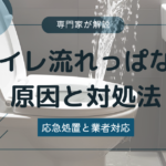 トイレの吸い込みが弱い時の原因は？簡単な直し方から修理費用まで徹底解説 - 【公式】ミズのホットライン｜水漏れや水トラブルを即日解決